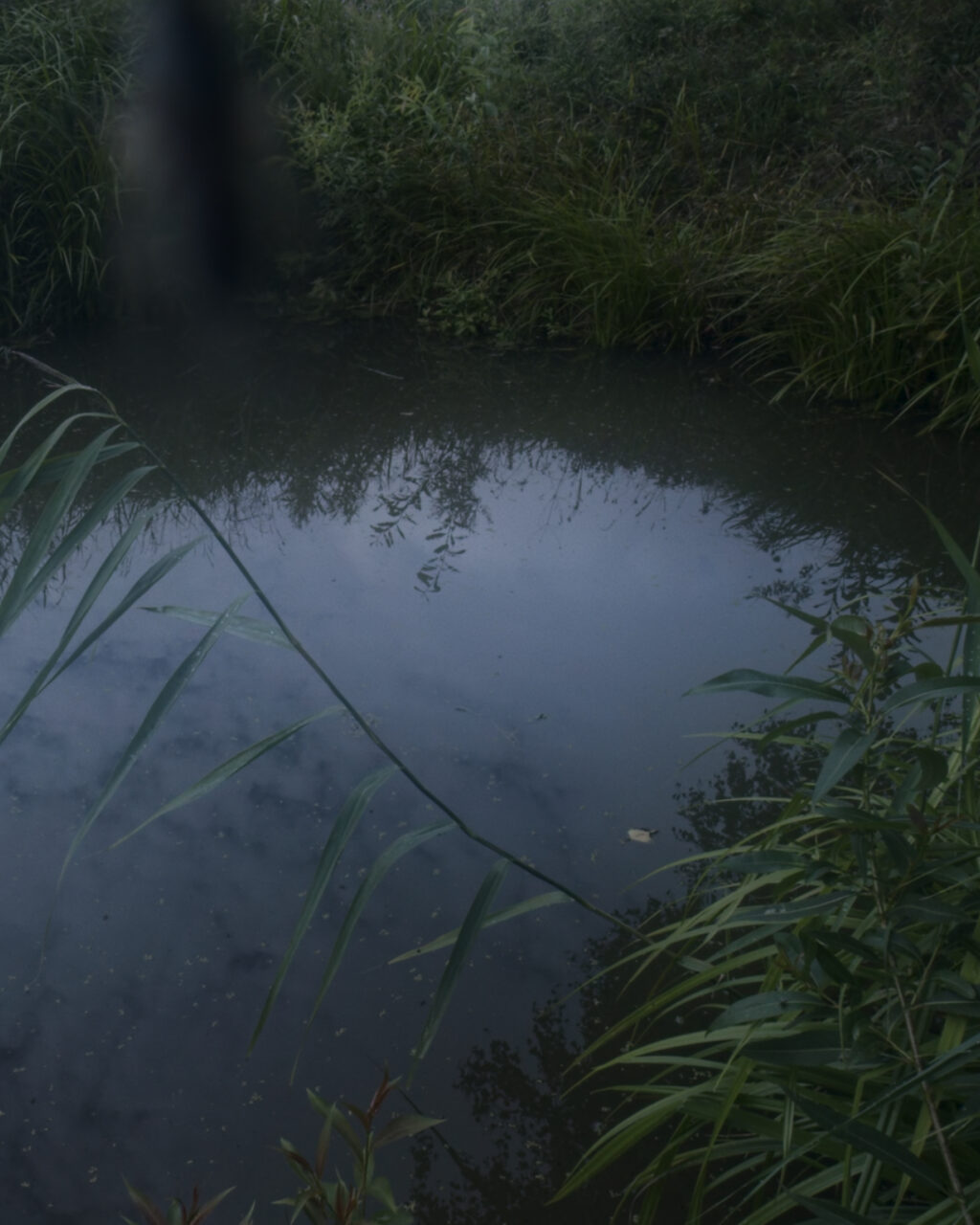 Flussbad – A Home for Adventurous Culture and Ideas