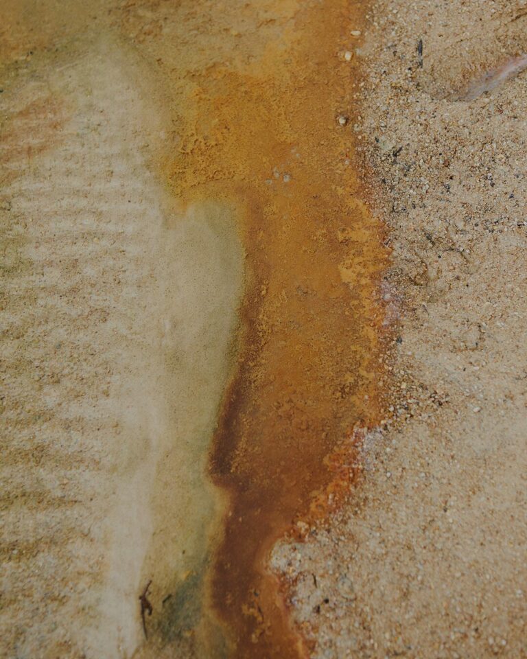 Flussbad – A Home for Adventurous Culture and Ideas